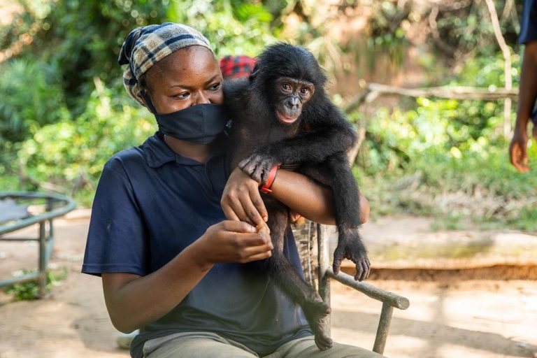 Voici les plus beaux sites touristiques à visiter dans la ville de ...